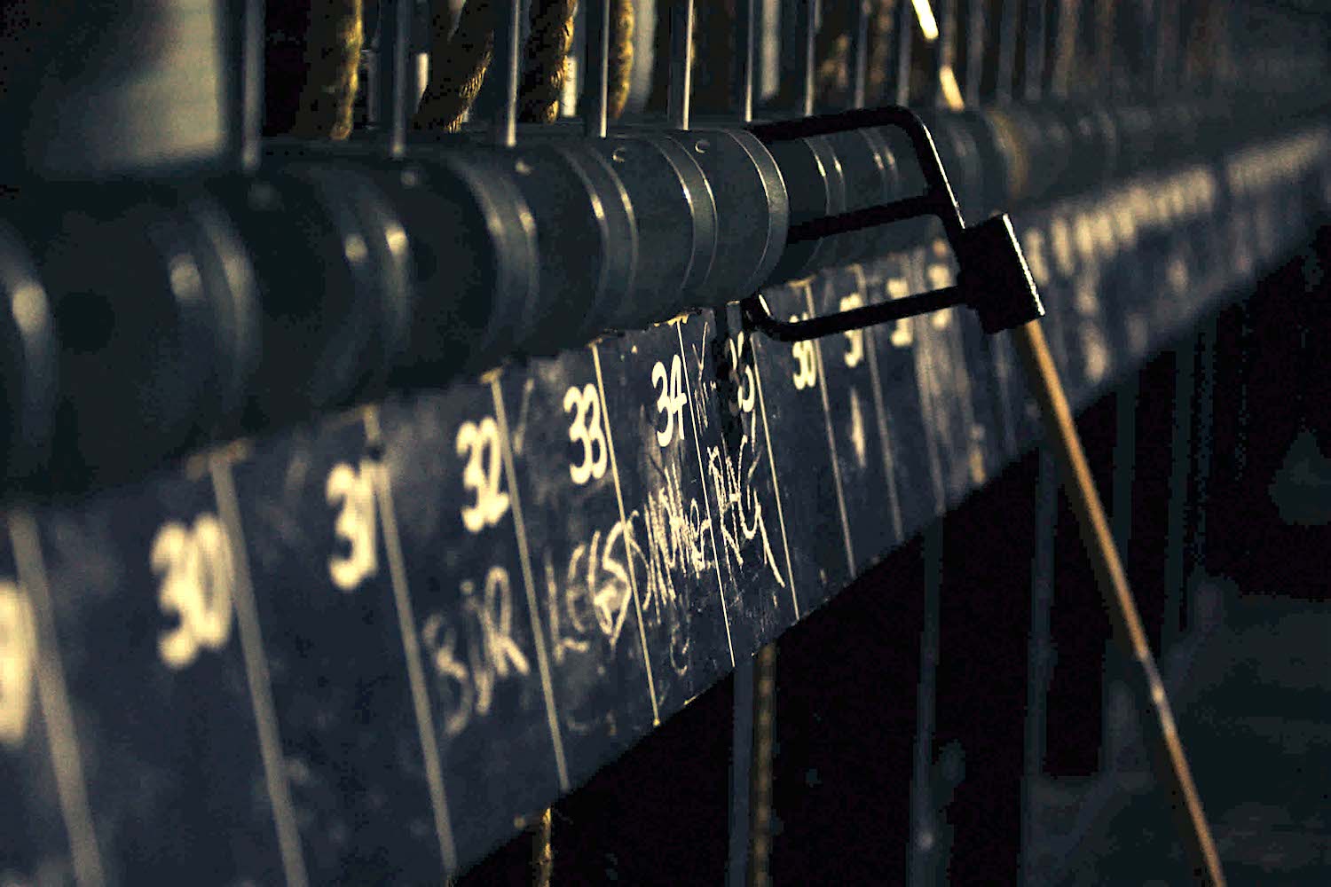 The Civic Roars into the Twenties — CX Network