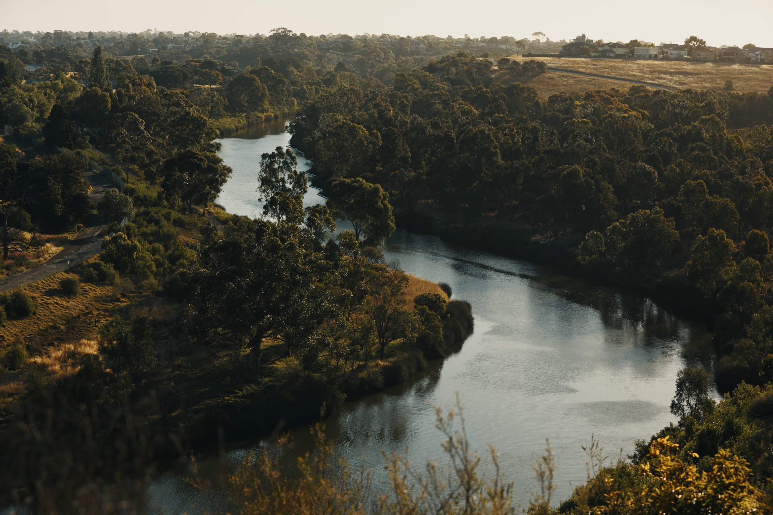 The Rivers Sing — CX Network